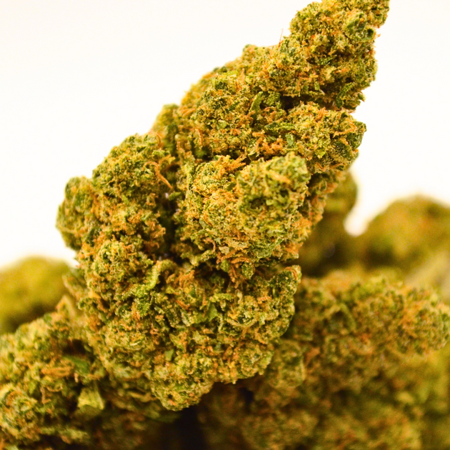 NOUVELLE RECOLTE Fleur CBD GREEN POISON Sélection DispenseHerbe – DispenseHerbe 🍀