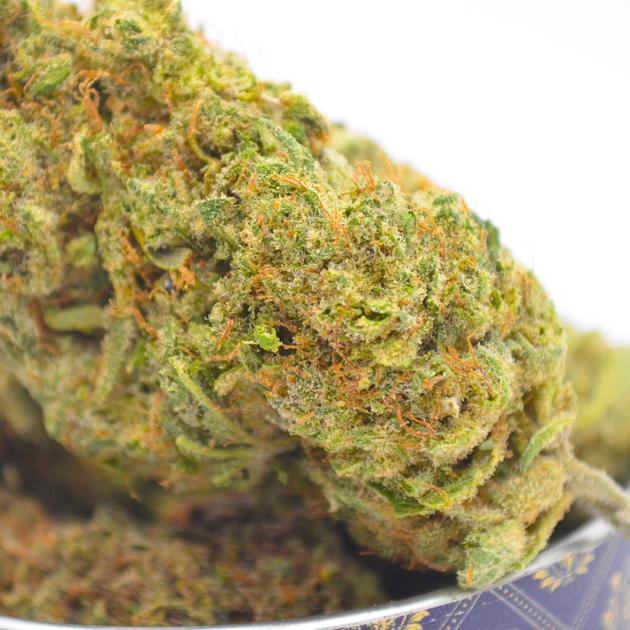 Fleur CBD ALIEN HAZE Hydro | Dispense Herbe – DispenseHerbe 🍀